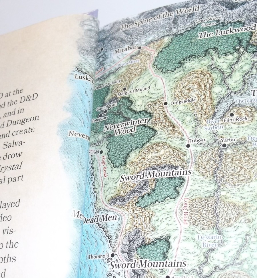 Sword Coast Adventurer's Guide (And Other D&D Items) | post post modern dad